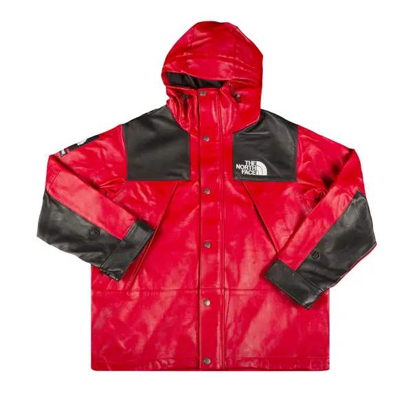 Supreme X The North Face Leather Mountain Parka - Red