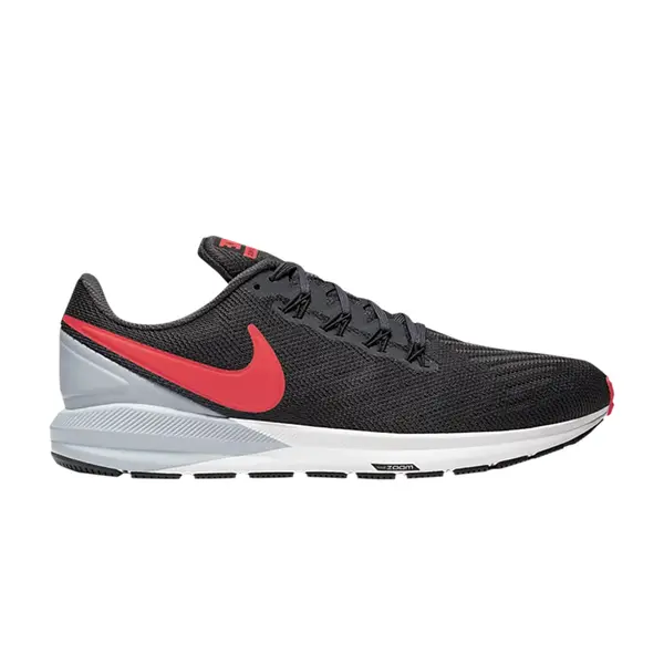 Nike Air Zoom Structure 22 - Grey
