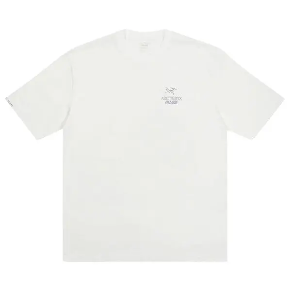 PALACE X Arc'teryx T-shirt - White