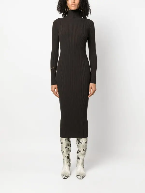 P.a.r.o.s.h Ribbed-knit Roll-neck Midi Dress