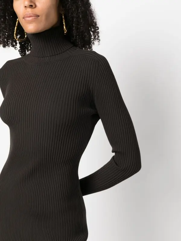 P.a.r.o.s.h Ribbed-knit Roll-neck Midi Dress
