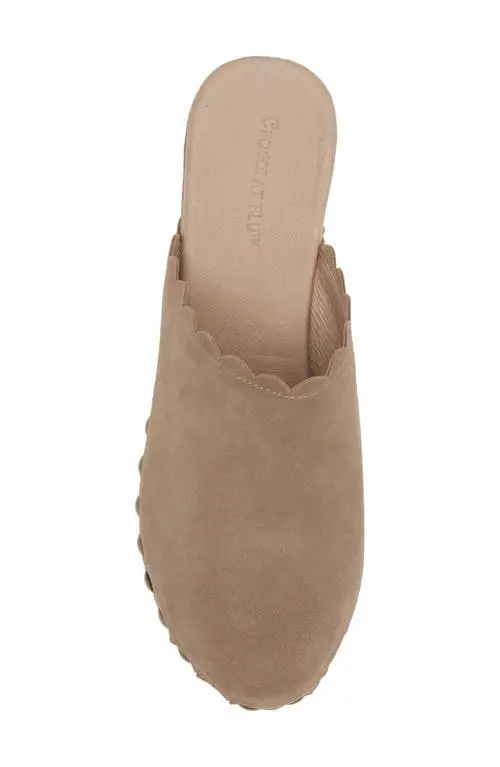 CHOCOLAT BLU Gemini Platform Clog - Taupe Suede