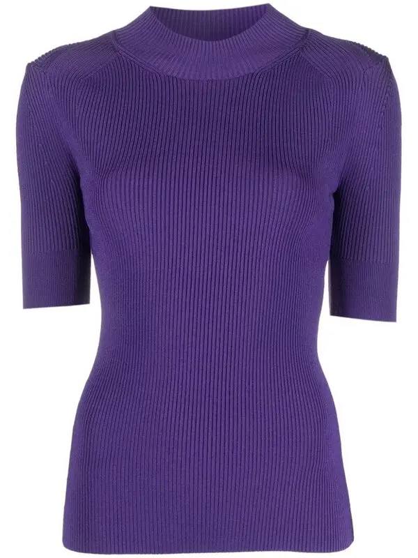 Stella McCartney High Neck Ribbed Knit Top - Purple