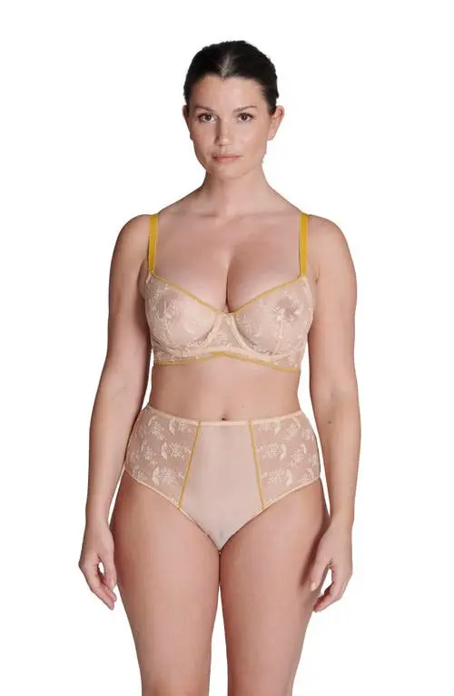 Simone Perele Adele High Waist Lace & Mesh Briefs