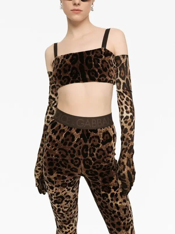 Dolce & Gabbana Leopard-print Crop Top - Brown
