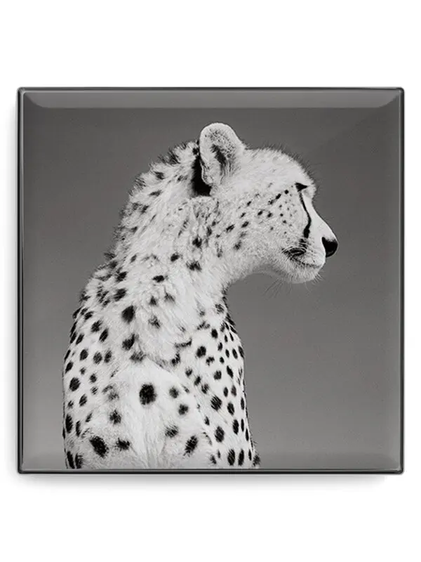 CHANTECAILLE Luminescent Eye Shade - Elephant