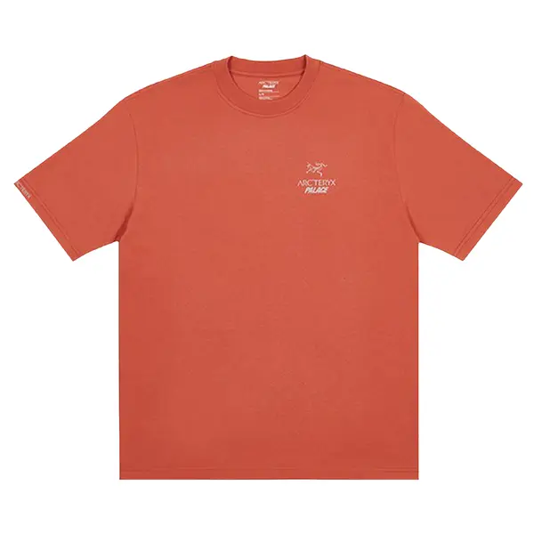 PALACE X Arc'teryx T-shirt 'ochre - Orange