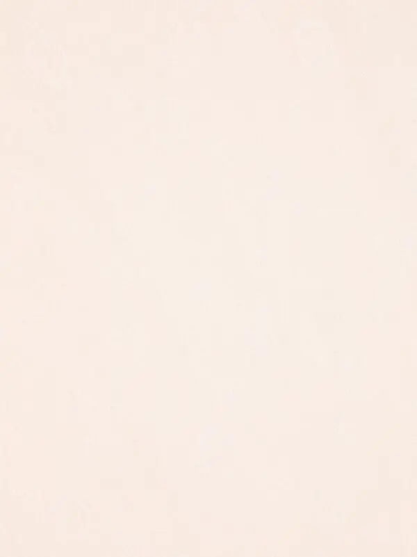 Pinko Fringed-edge Rectangular Scarf - Pink