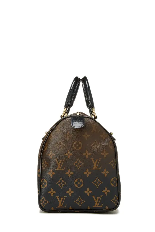 LOUIS VUITTON Monogram Canvas Mirage Speedy 30