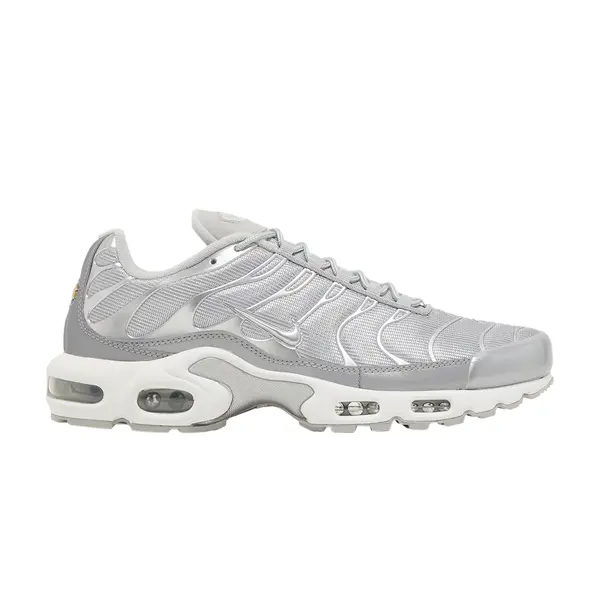 Nike Air Max Plus Sneakers - Silver