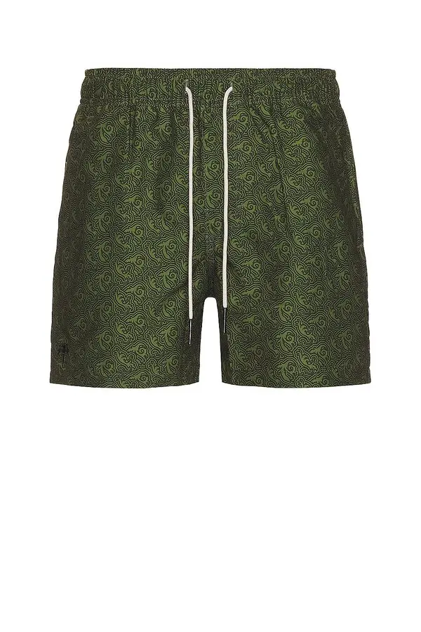 Oas Swim Shorts In Green - Green Squiggle