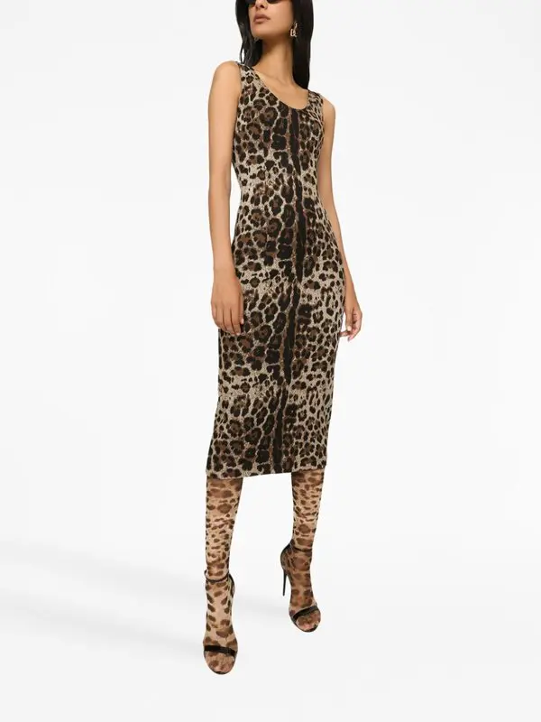 Dolce & Gabbana Leopard-print Midi Dress