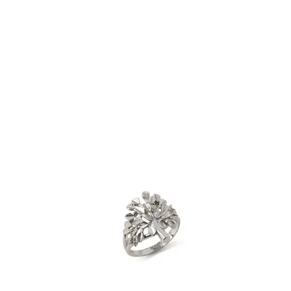 Mulberry Tree Ring