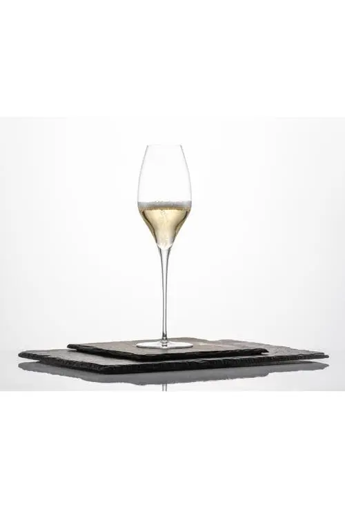 SCHOTT ZWIESEL Alloro Set Of 2 Sparkling Wine Glasses