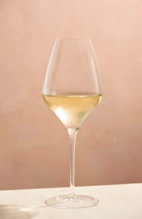 SCHOTT ZWIESEL Alloro Set Of 2 Sparkling Wine Glasses