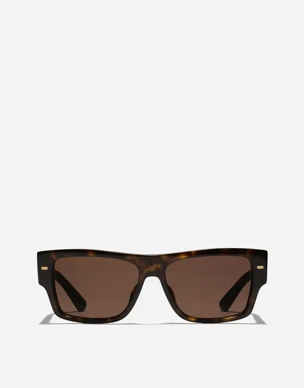 Dolce & Gabbana Sartoriale Sunglasses - Havana