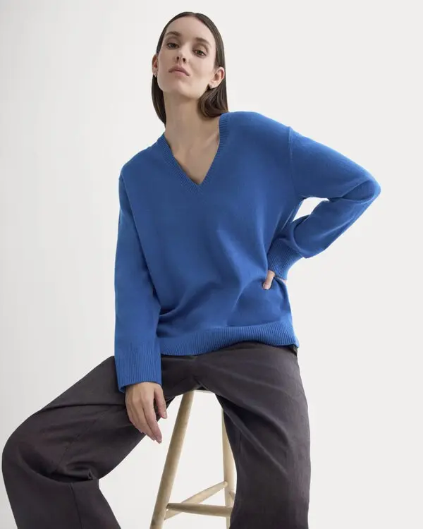 Everlane Classic V Sweater - Classic Blue