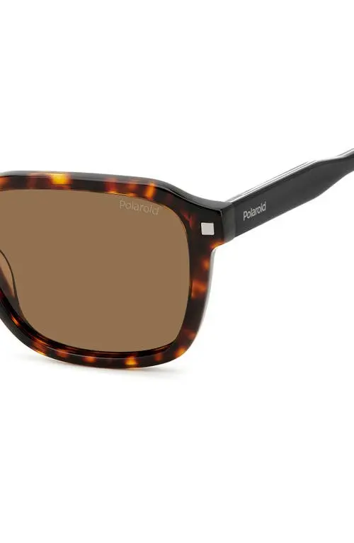 POLAROID 53mm Polarized Rectangle Sunglasses - Havana/bronze Polarized