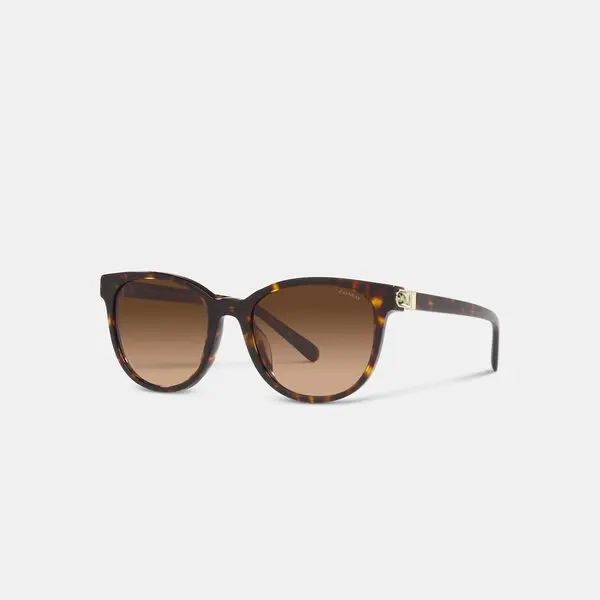 COACH Horse And Carriage Round Sunglasses - Dark Tortoise