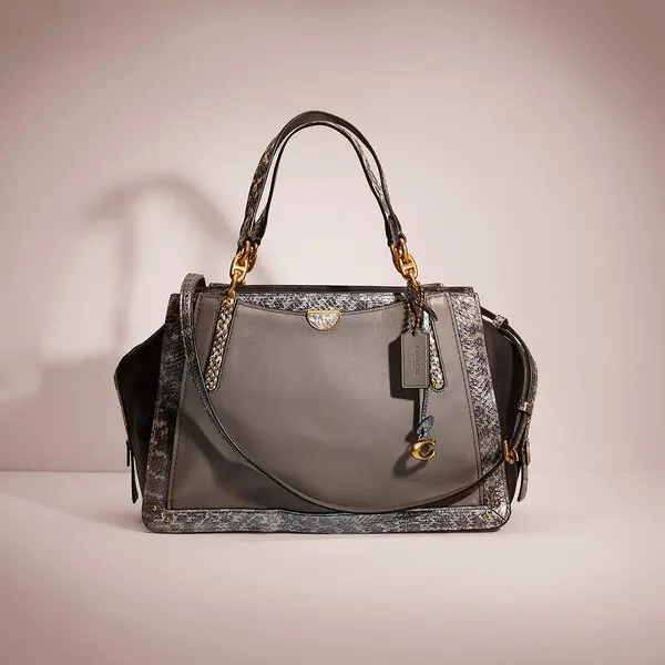 COACH Dreamer 36 In Colorblock With Snakeskin Detail