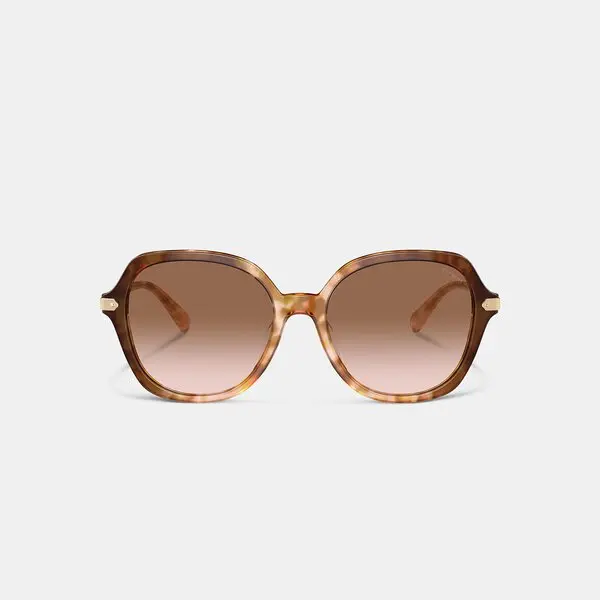 Coach Wrap Around Hangtag Oversized Geometric Round Sunglasses Coach Wrap Around Hangtag Oversized Geometric Round Sunglasses main image 3