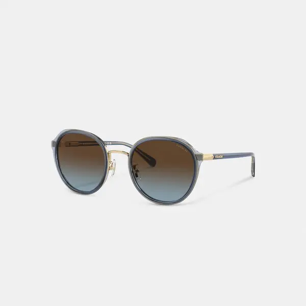 COACH Hangtag Geometric Round Sunglasses - Brown Blue Grey Gradient
