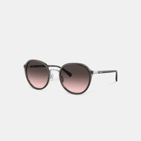 COACH® Hangtag Geometric Round Sunglasses - Transparent Gray