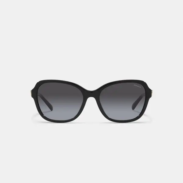 COACH Hinged Horse And Carriage Sunglasses