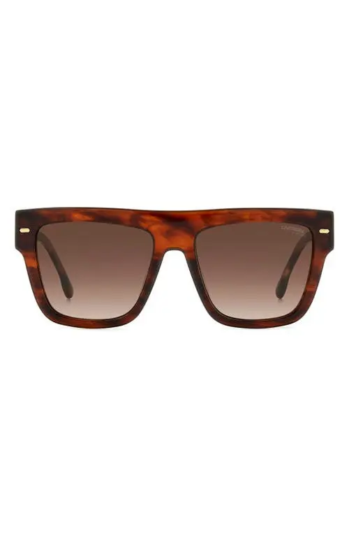 Carrera Eyewear 55mm Flat Top Sunglasses - Brown Horn/brown Gradient