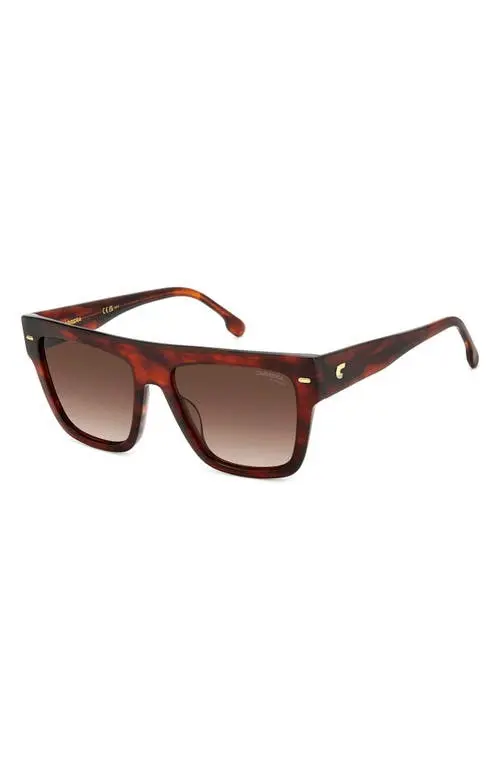 Carrera Eyewear 55mm Flat Top Sunglasses - Brown Horn/brown Gradient