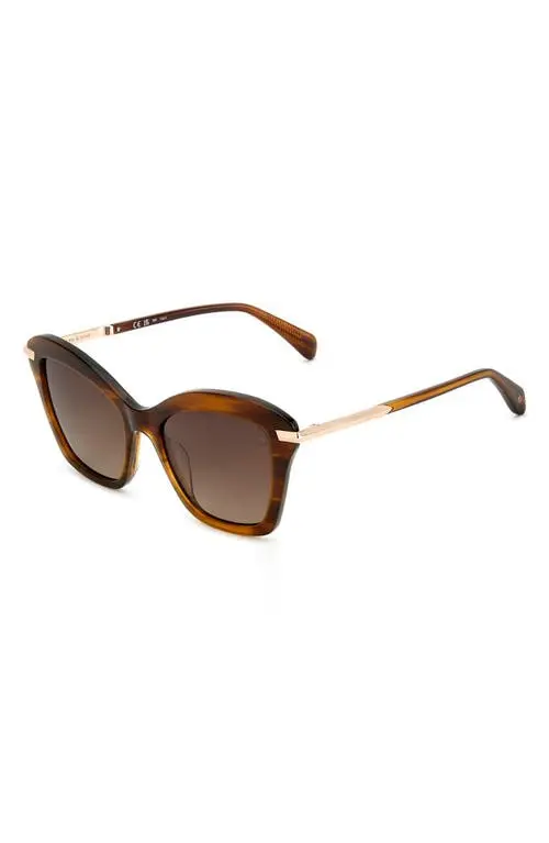 Rag & Bone 53mm Cat Eye Sunglasses - Brown Horn/Brown 