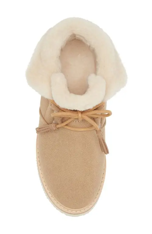 Sanuk Canvas Slipper - Brown