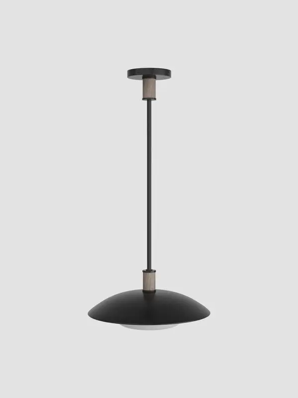 ARTERIORS Tobias Pendant