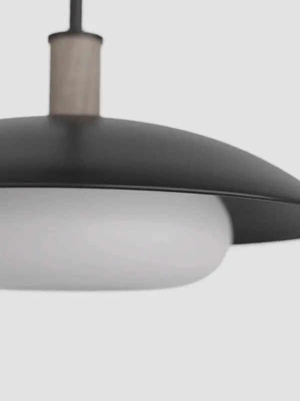 ARTERIORS Tobias Pendant