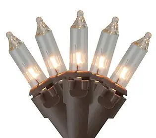 NORTHLIGHT 100ct Clear Mini Christmas Light 20. 25' Brown Wire - One-color