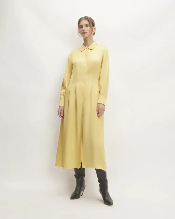Everlane Hammered Satin Shirt Dress