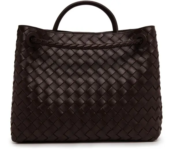 Bottega Veneta Andiamo Bag - Brown