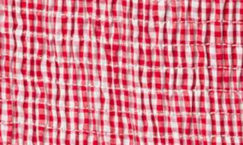 EDIKTED Gingham Smocked Miniskirt
