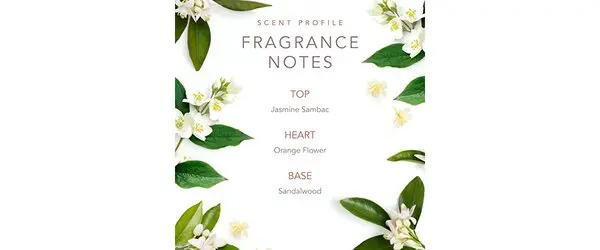 SCENT BEAUTY Dolly Parton Eau De Toilette Early Morning Breeze