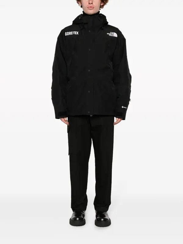 The North Face Gore-tex Mountain Guide Insulated Jacket