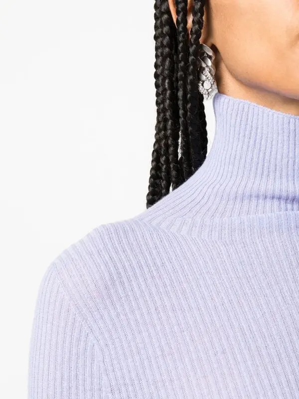Fabiana Filippi Roll-neck Long-sleeve Jumper - Purple