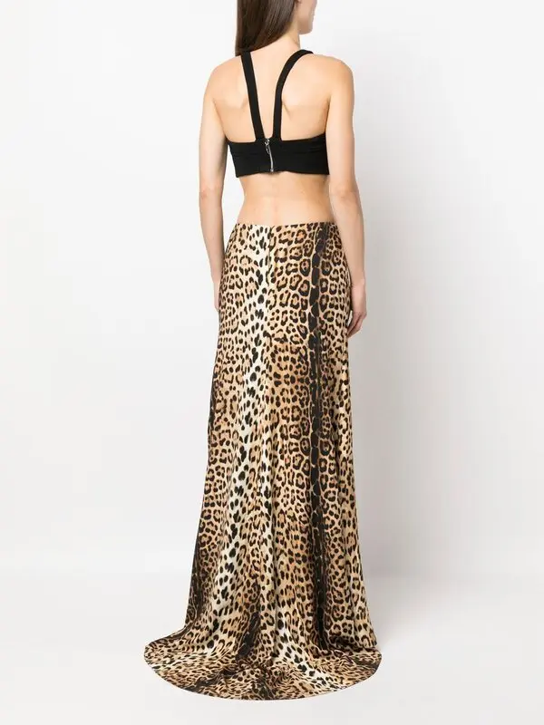 Roberto Cavalli Leopard-print Panelled Maxi Dress