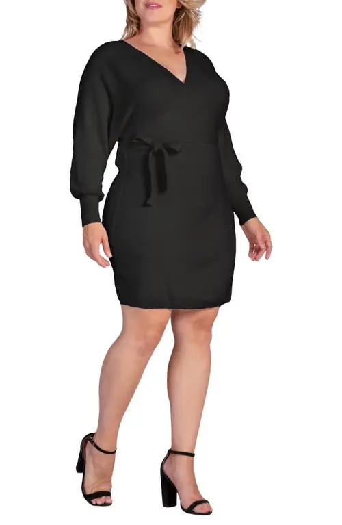 STANDARDS & PRACTICES Ursa Long Sleeve Wrap Mini Sweater Dress