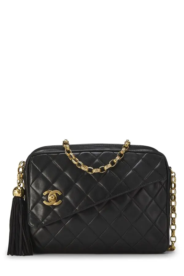 Chanel Lambskin Diagonal Camera Bag