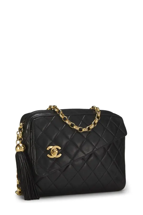 Chanel Lambskin Diagonal Camera Bag