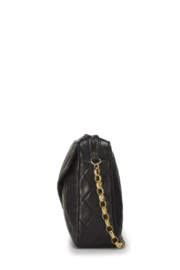 Chanel Lambskin Diagonal Camera Bag