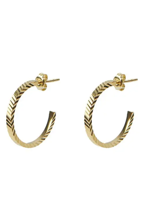 Argento Vivo Medium Hoop Earrings - Gold
