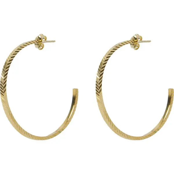 Argento Vivo Hoop Earrings - Gold