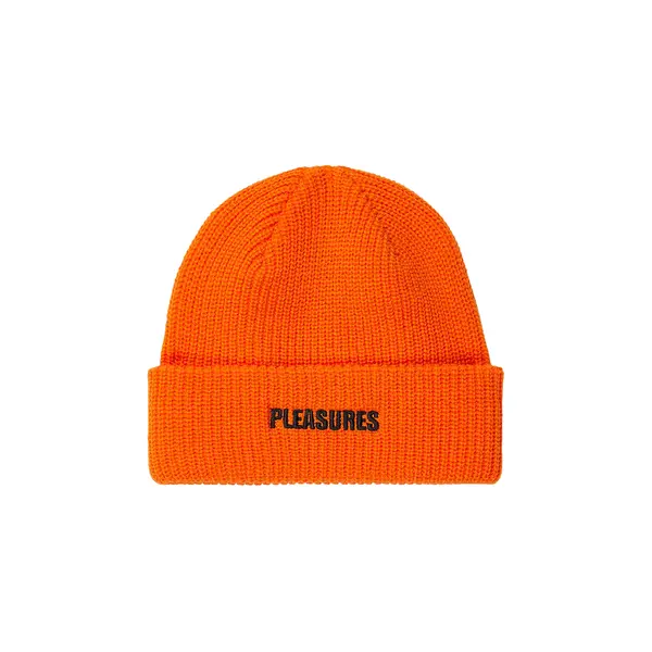 PLEASURES Everyday Beanie