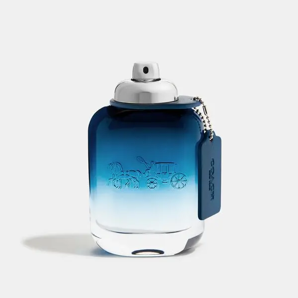 COACH Blue Eau De Toilette 100 Ml